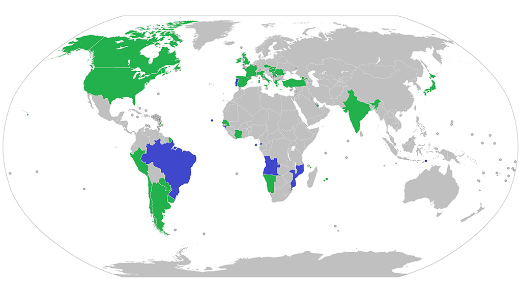 Ígnea - De Ruy a Rui… a dinâmica e a força do português brasileiro!